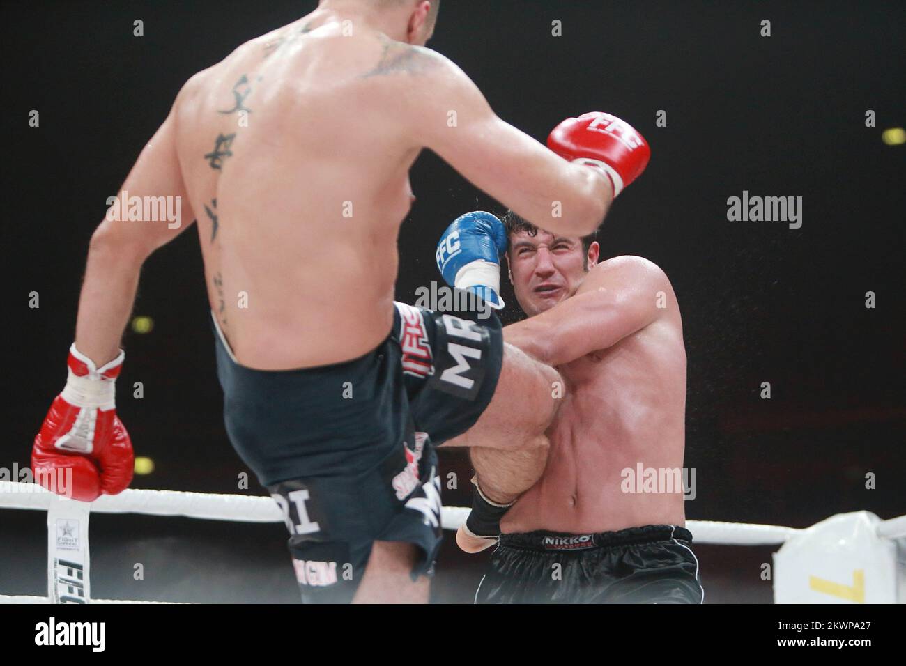 25.10.2013., Arena agreb, Zagreb - Final Fight Championship 8, Ali ...