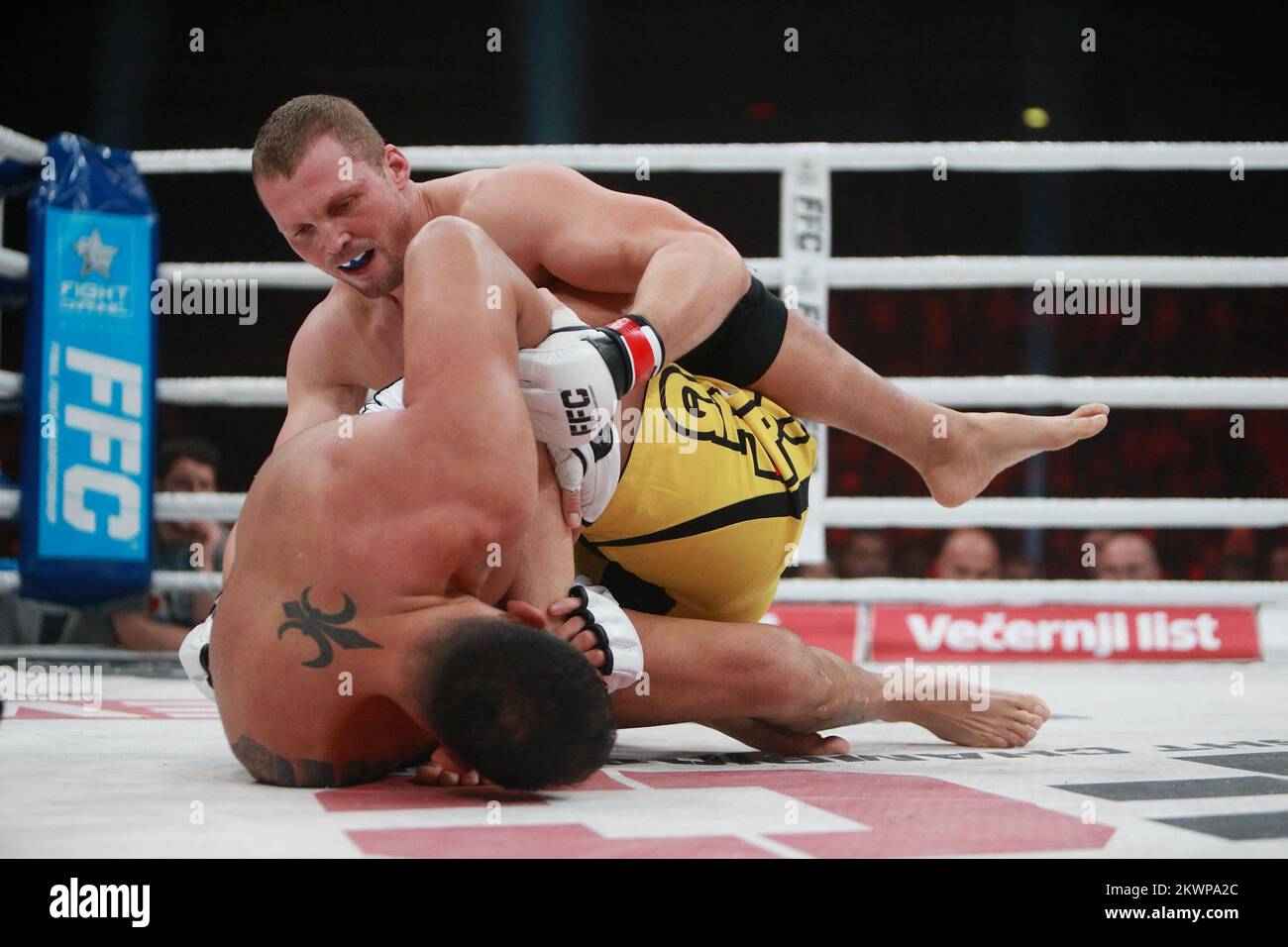 25.10.2013., Arena agreb, Zagreb - Final Fight Championship 8, Zelg ...