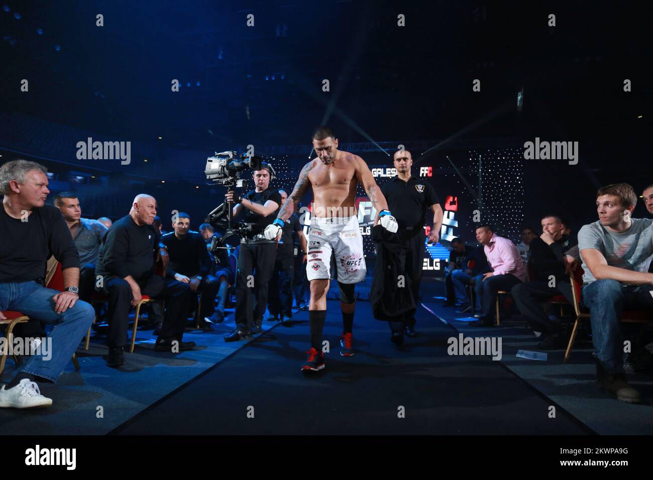 25.10.2013., Arena agreb, Zagreb - Final Fight Championship 8, Zelg ...