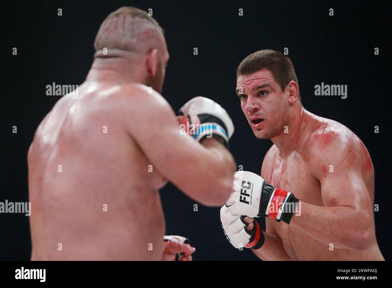 Dion staring hi-res stock photography and images - Alamy