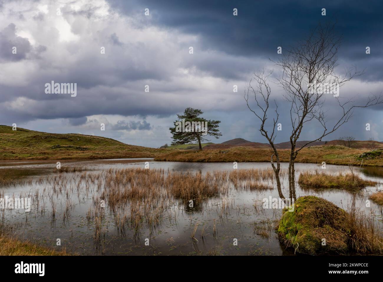 kelly hall tarn at torver near coniston in the lake district Stock ...