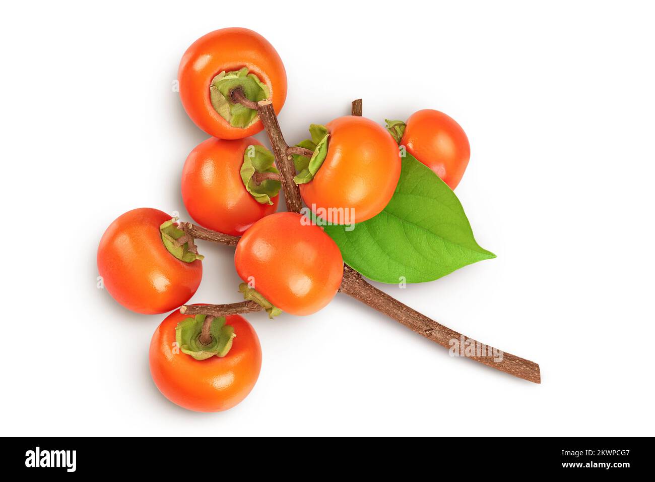 Persimmon fruit on the branch isolated on white background with full ...