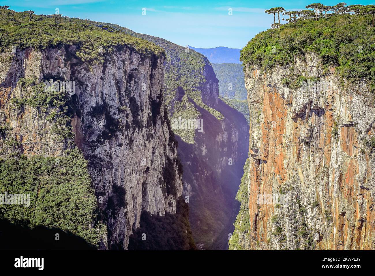 Jungle valley hi-res stock photography and images - Alamy