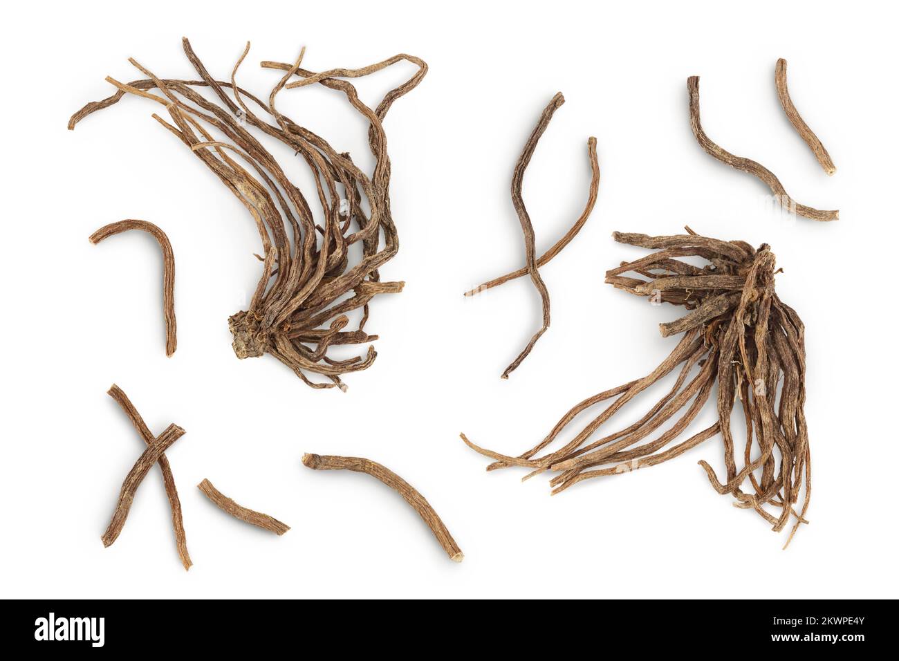 Dried Valerian root isolated on white background. Valeriana officinalis ...