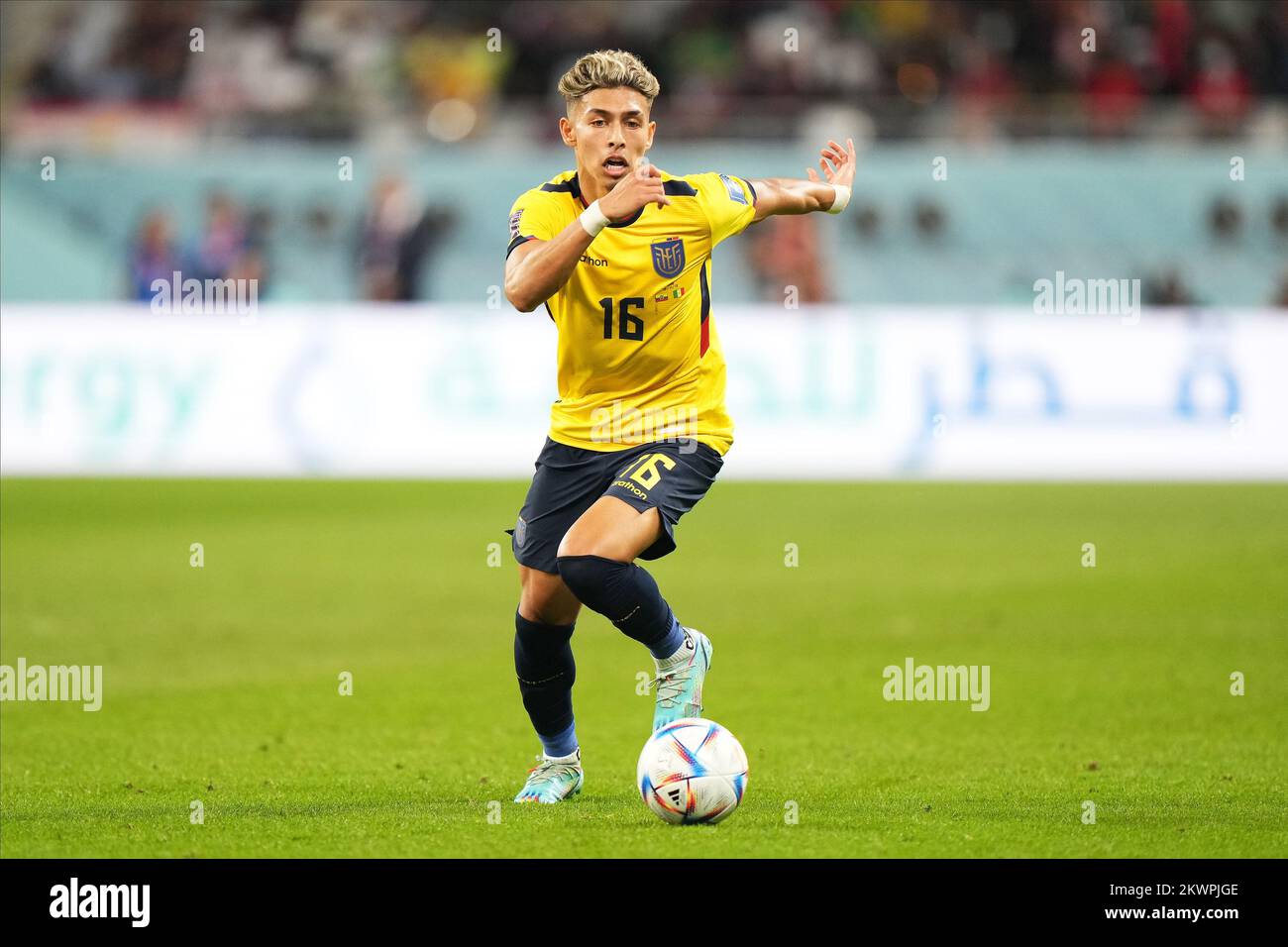 Doha, Qatar. Nov 29, 2022, Jeremy Sarmiento of Ecuador during the FIFA ...
