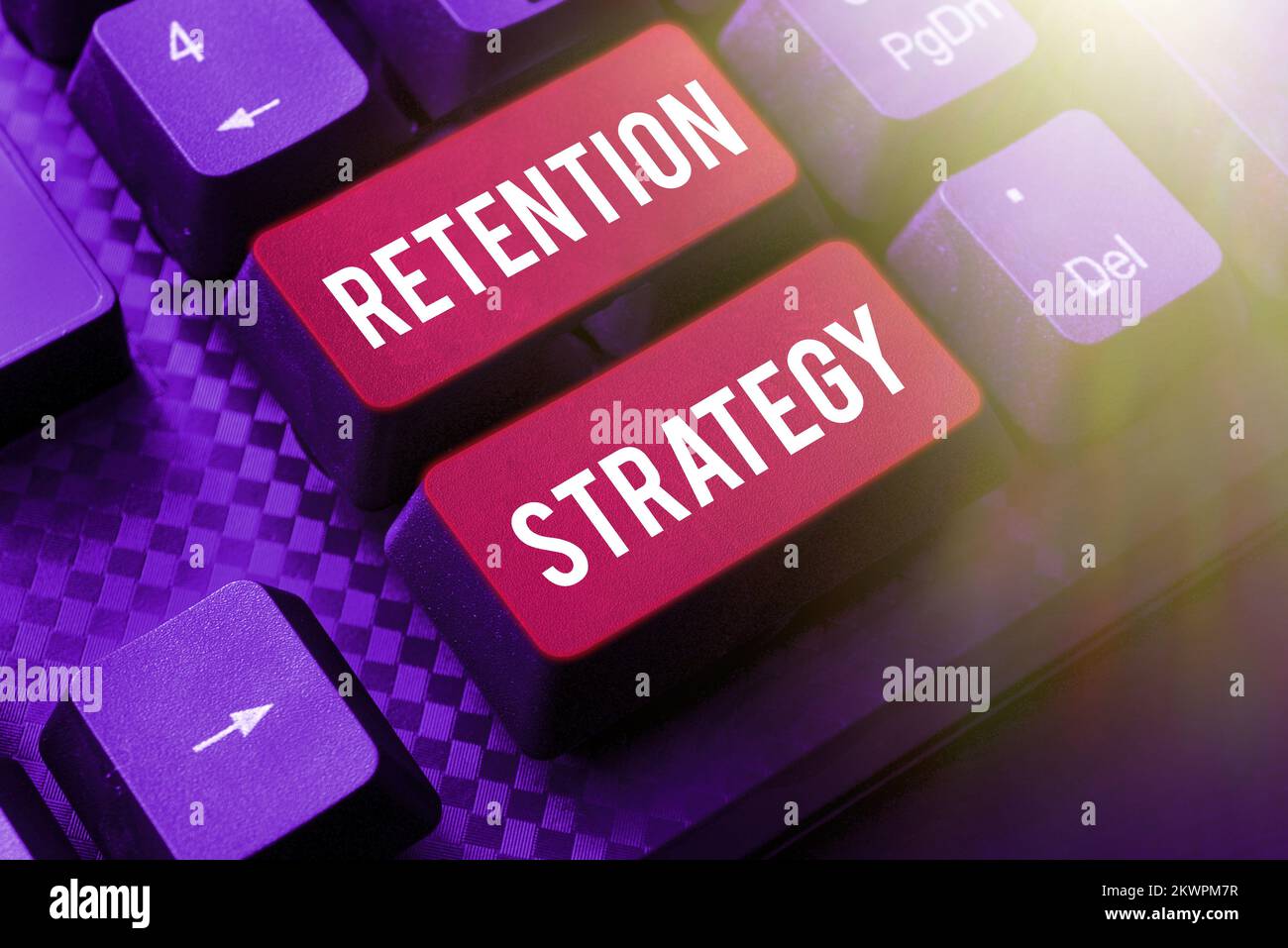 Conceptual display Retention Strategy, Conceptual photo activities to ...