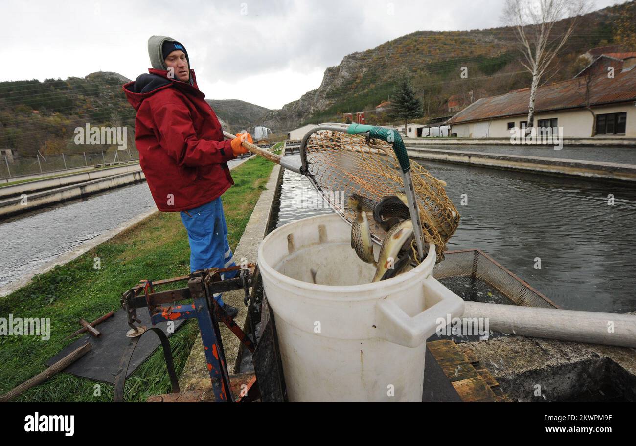 Krcica hi-res stock photography and images - Alamy