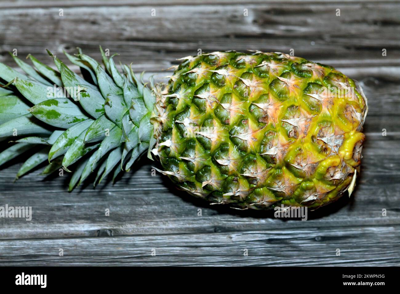 The Pineapple (Ananas comosus), a tropical plant with an edible fruit ...
