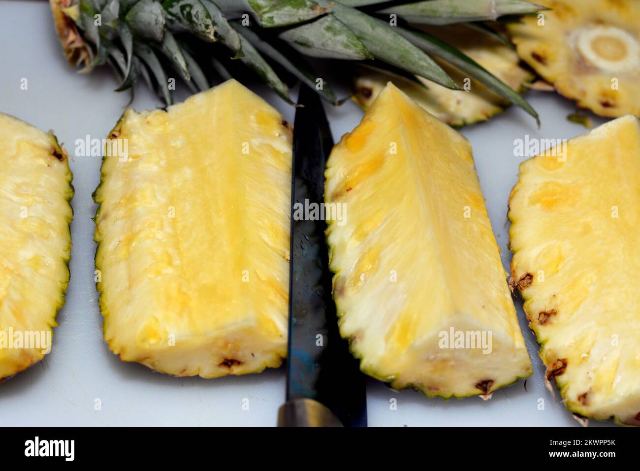 The Pineapple (Ananas comosus), a tropical plant with an edible fruit ...