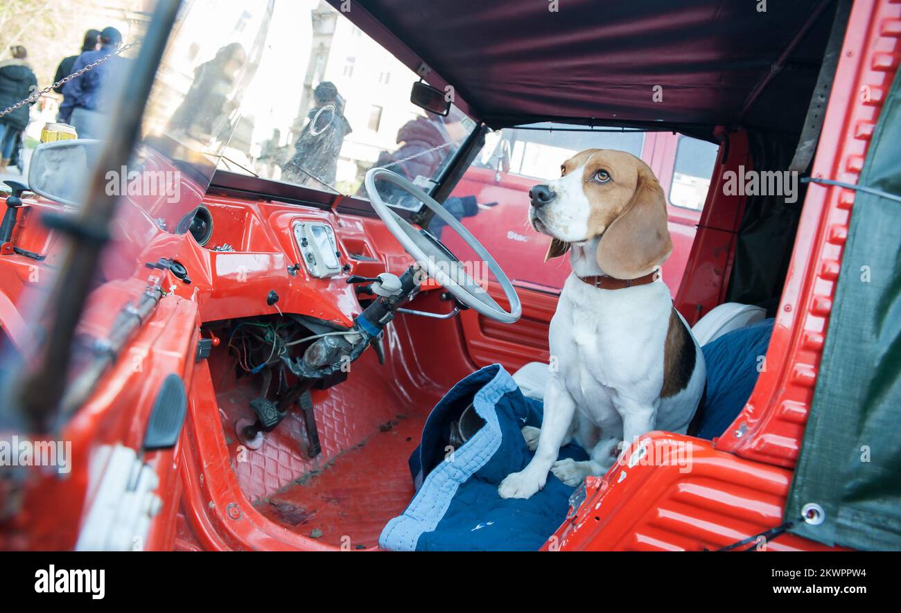 07.12.2013., Zagreb, Croatia - Marshal Tito Square, Column historic ...