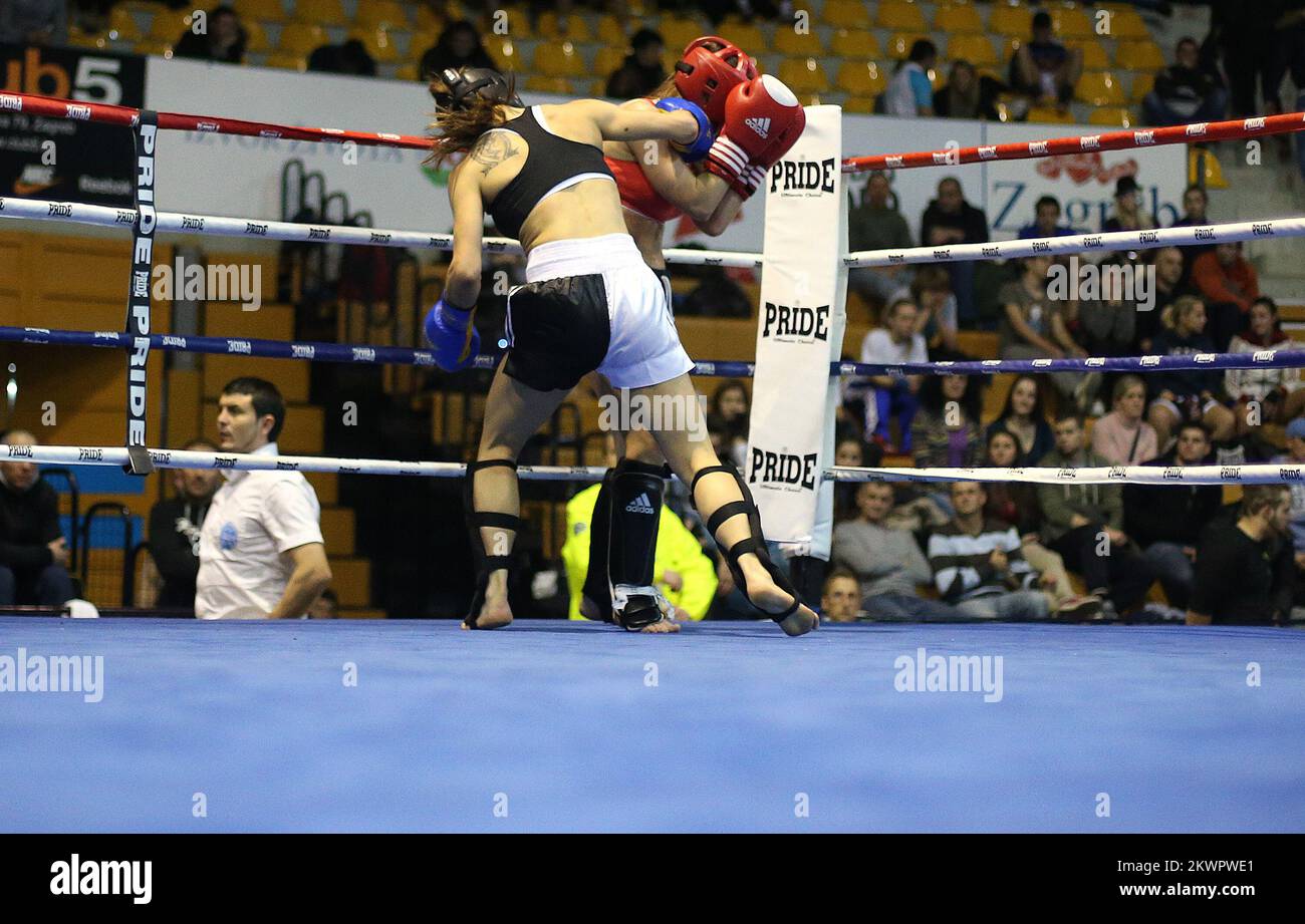15.12.2013., Zagreb, Sports hall Drazen Petrovic - International ...