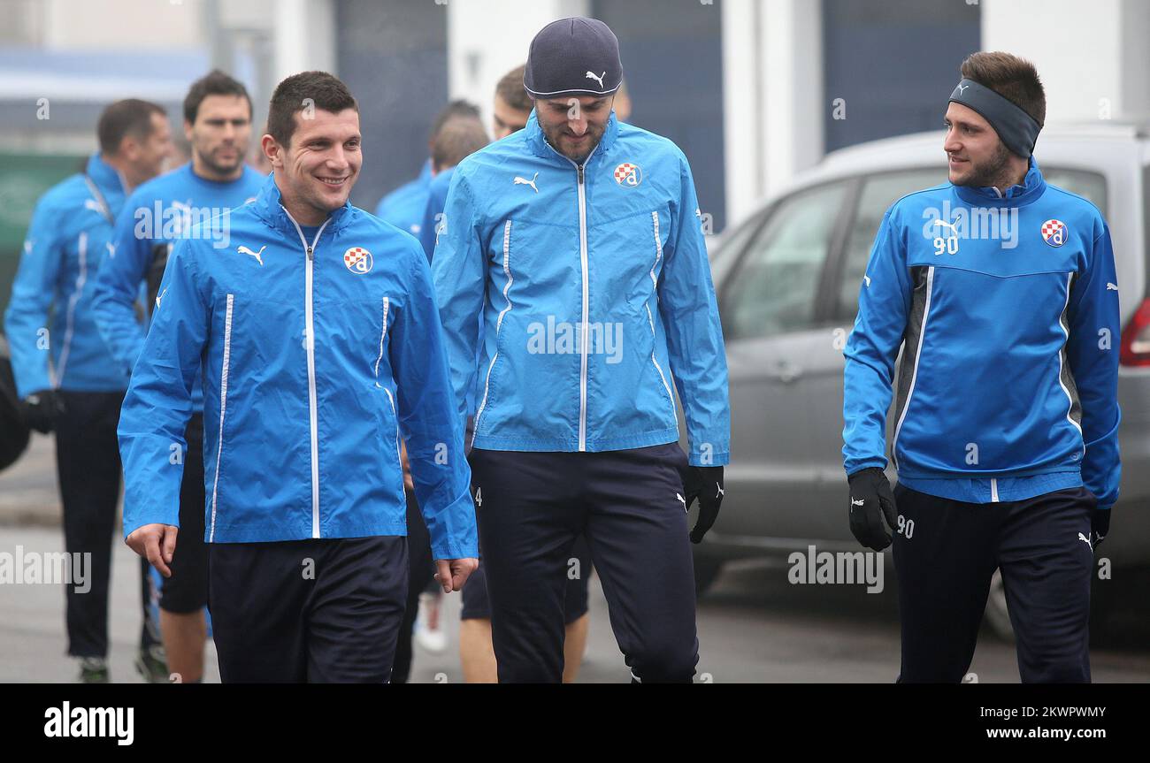 17.12.2013., Zagreb, Maksimir - Josip Simunic from GNK DInamo during ...