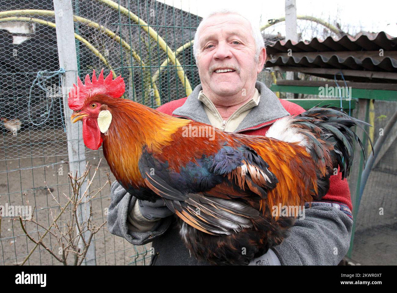 Schraumbeck hi-res stock photography and images - Alamy
