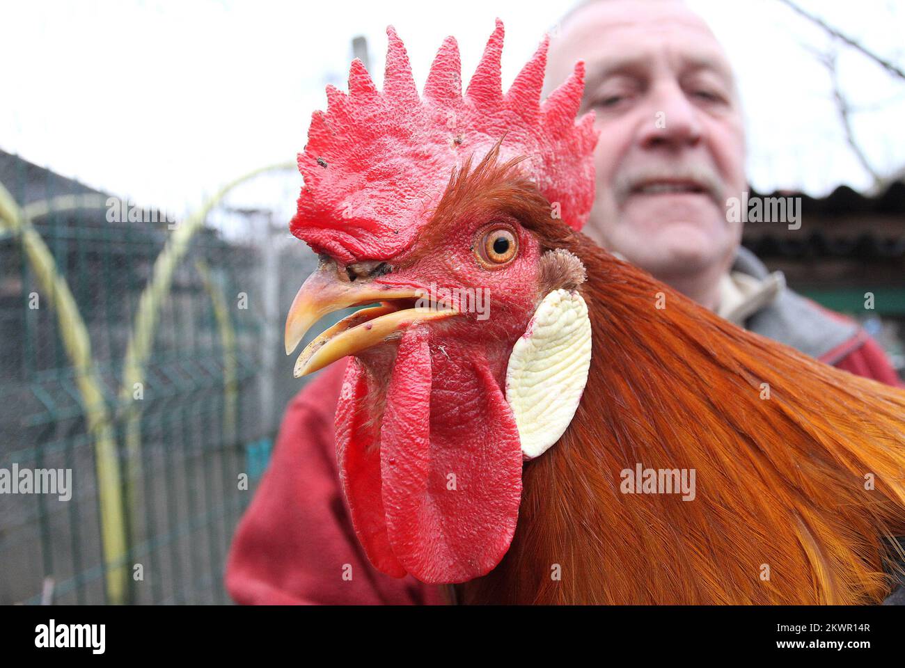 Schraumbeck hi-res stock photography and images - Alamy