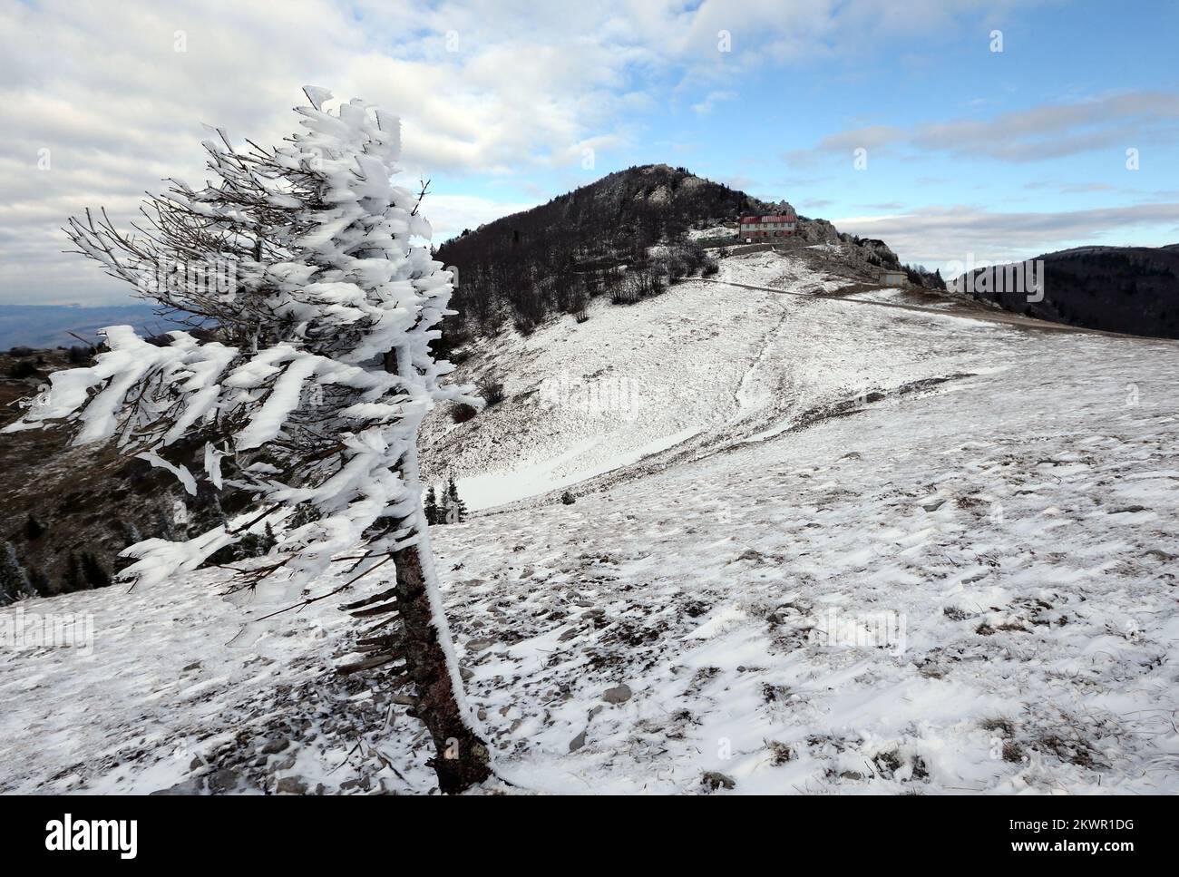22.01.2014., Croatia - Zavizan is one of the best-known localities in ...
