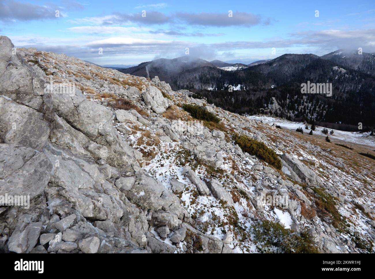 22.01.2014., Croatia - Zavizan is one of the best-known localities in ...