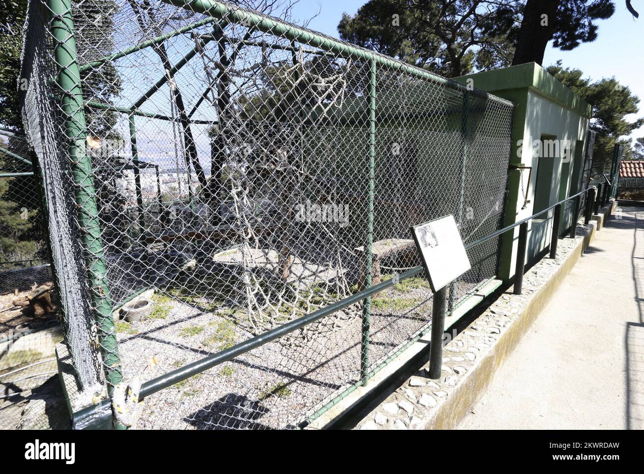 17.03.2014., Split, Croatia - Split zoo is set to close after ...