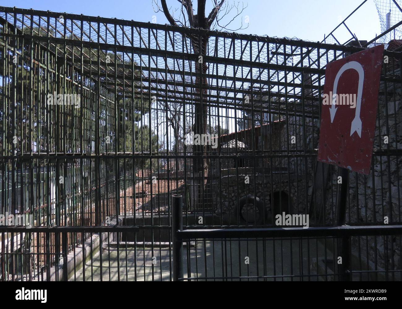 17.03.2014., Split, Croatia - Split zoo is set to close after ...