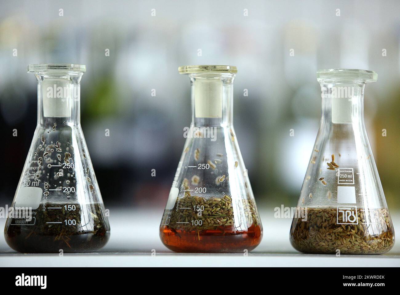 07.03.2014., Croatia, Zagreb - In Badel alcoholic liquor Pelinkovac is ...