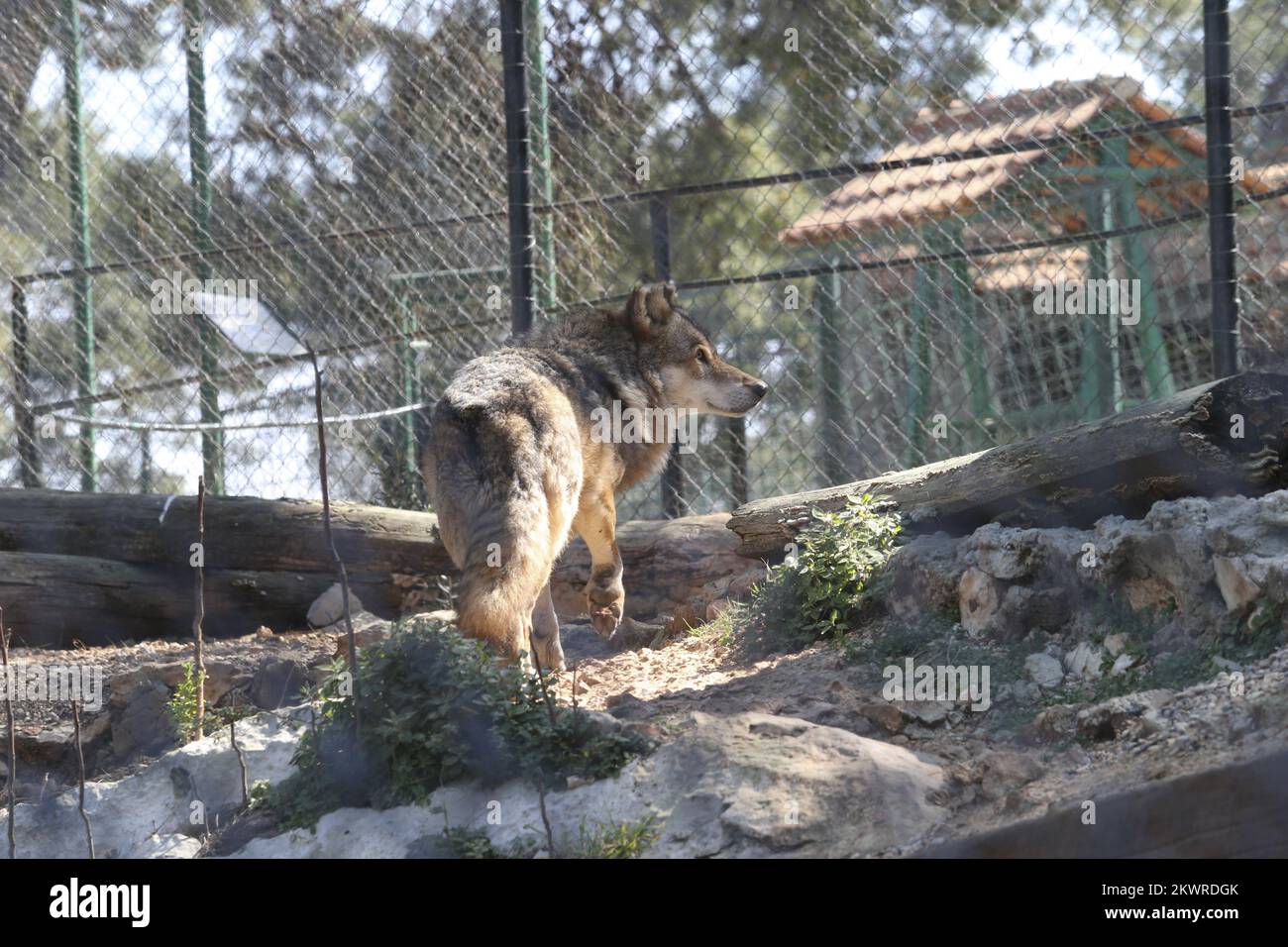 17.03.2014., Split, Croatia - Split zoo is set to close after ...