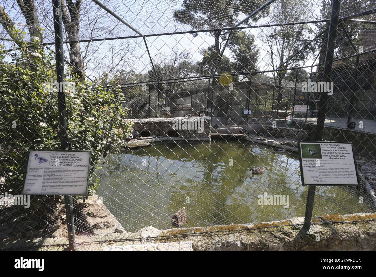 17.03.2014., Split, Croatia - Split zoo is set to close after ...