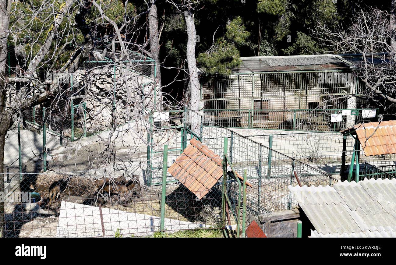 17.03.2014., Split, Croatia - Split zoo is set to close after ...