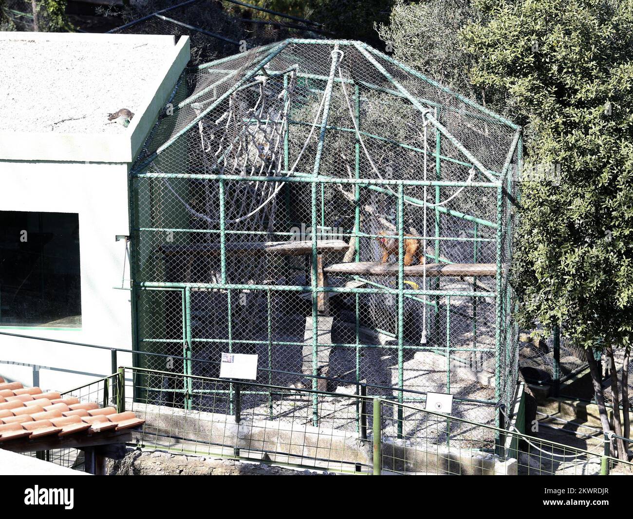 17.03.2014., Split, Croatia - Split zoo is set to close after ...