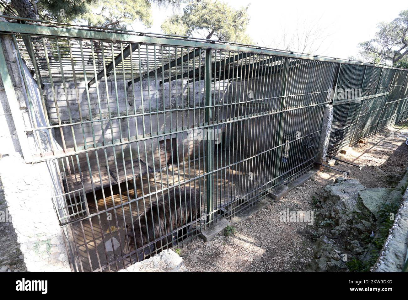 17.03.2014., Split, Croatia - Split zoo is set to close after ...