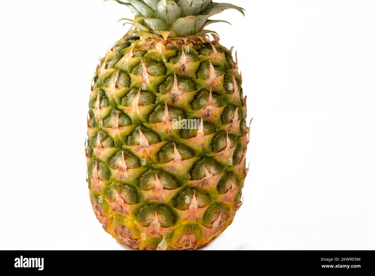 The Pineapple (Ananas comosus), a tropical plant with an edible fruit ...