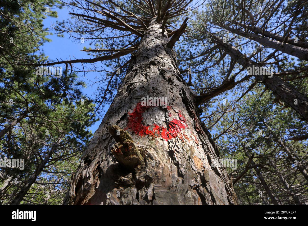 16.03.2014., Croatia, Southern Velebit - Melting snow on the southern ...