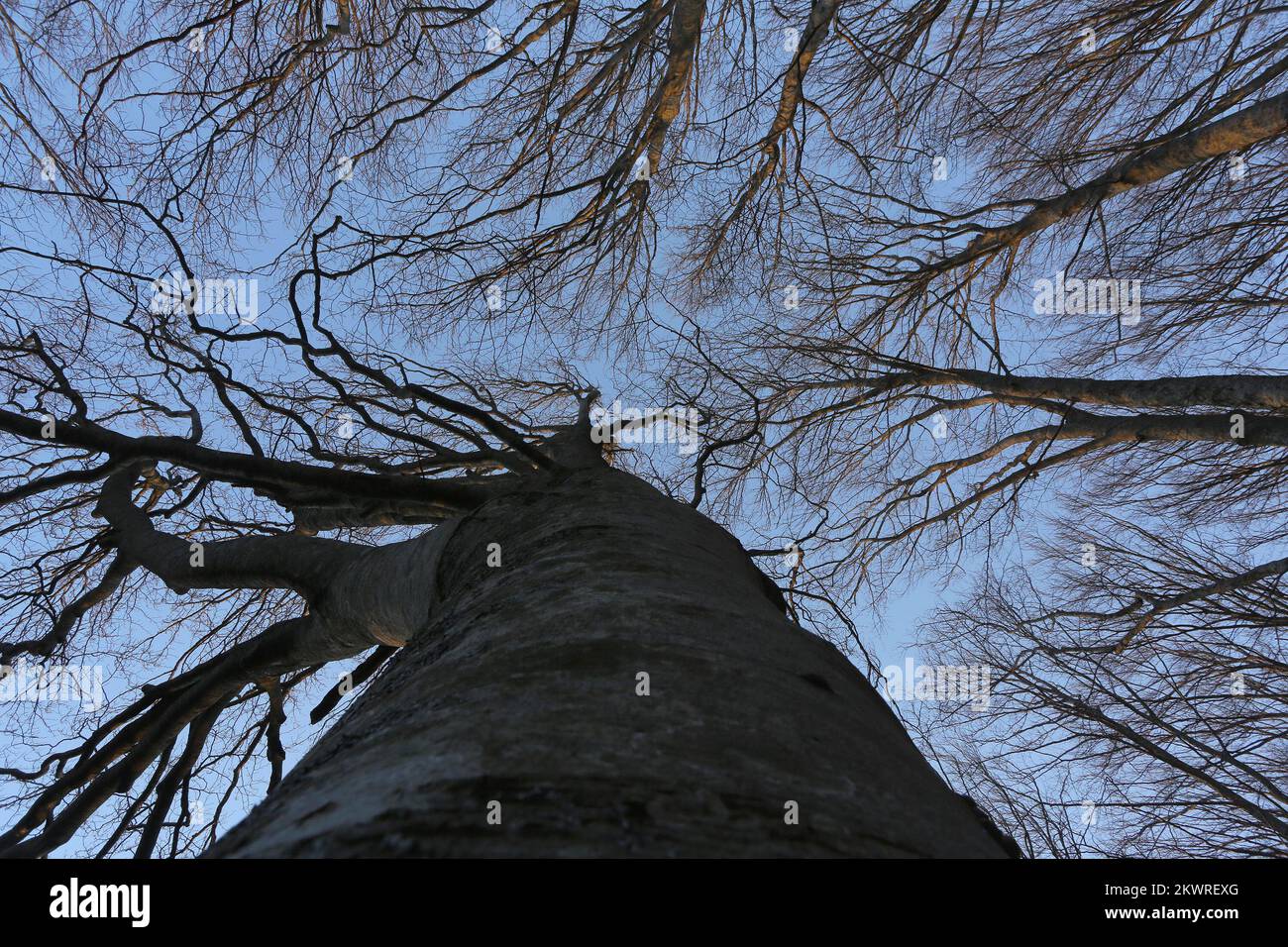 16.03.2014., Croatia, Southern Velebit - Melting snow on the southern ...