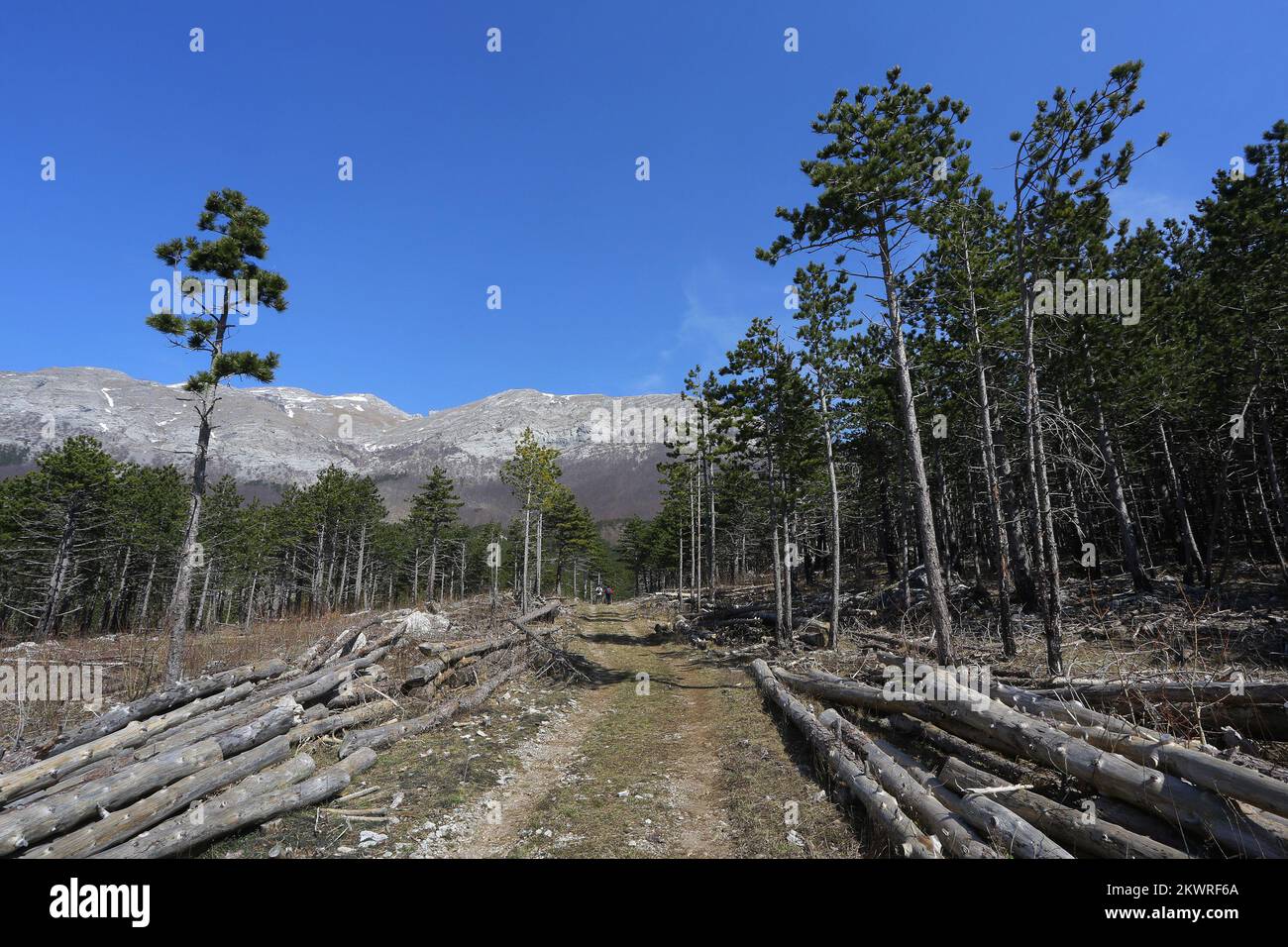 16.03.2014., Croatia, Southern Velebit - Melting snow on the southern ...