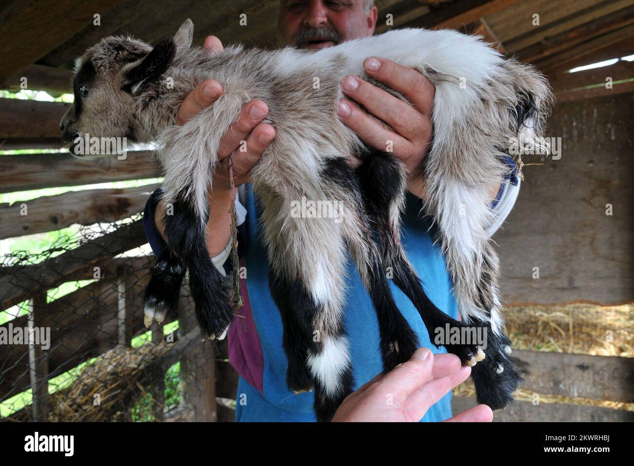 Kutjevo croatia hi-res stock photography and images - Alamy