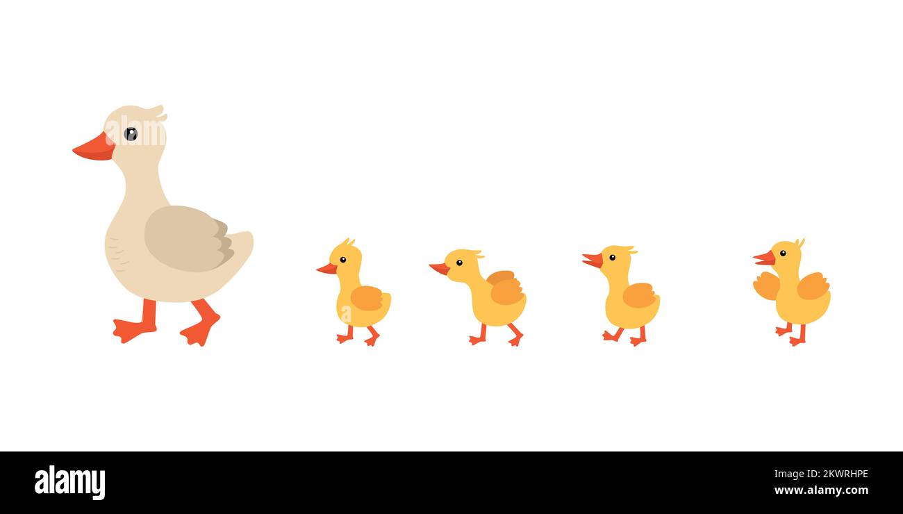 Baby Ducks Following Mother Cartoon