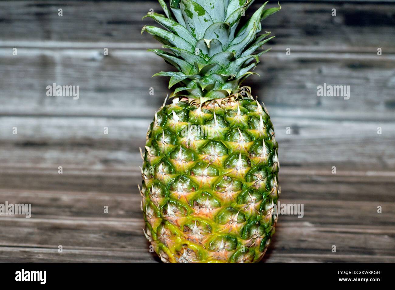 The Pineapple (Ananas comosus), a tropical plant with an edible fruit ...