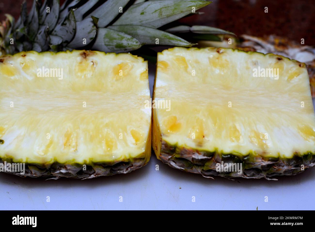 The Pineapple (Ananas comosus), a tropical plant with an edible fruit ...