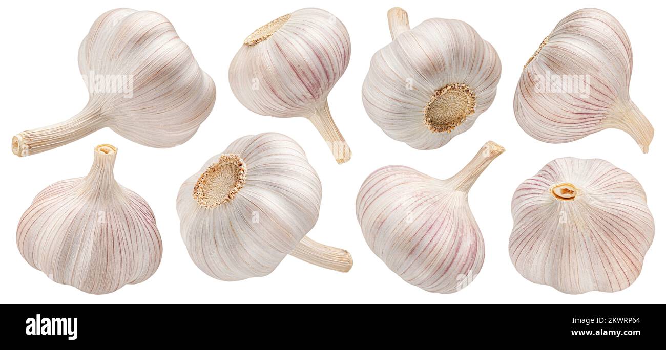 Garlic isolated on white background, collection Stock Photo - Alamy
