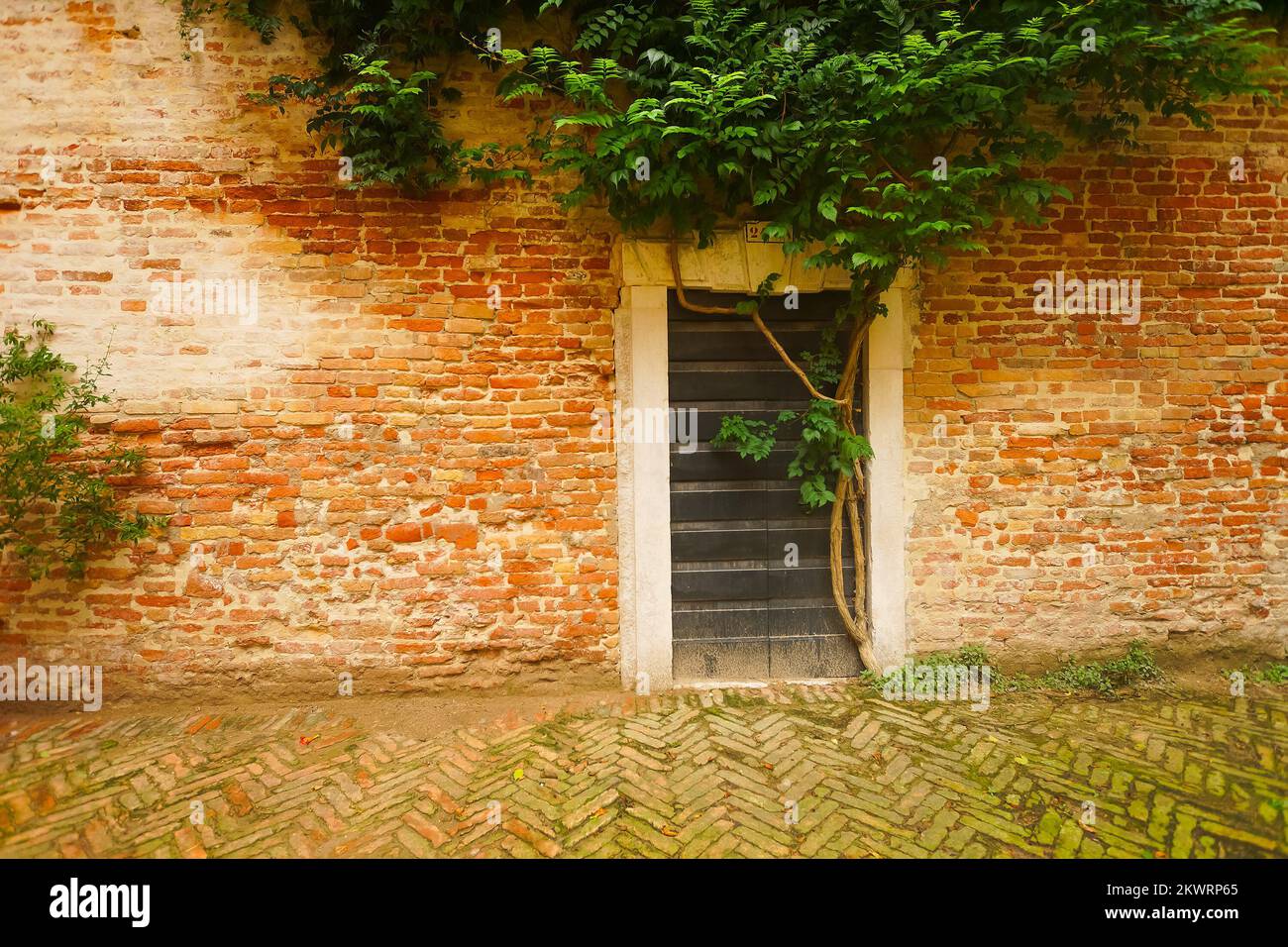Facade of house with closed door Stock Photo - Alamy