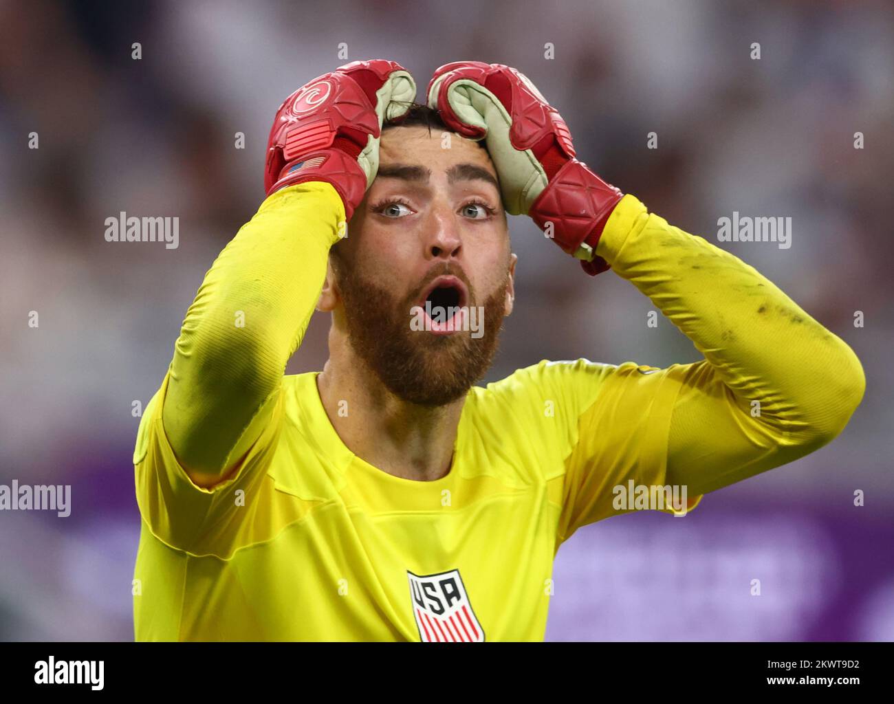 DOHA, QATAR - NOVEMBER 29: FIFA World Cup Qatar 2022 Group B match ...
