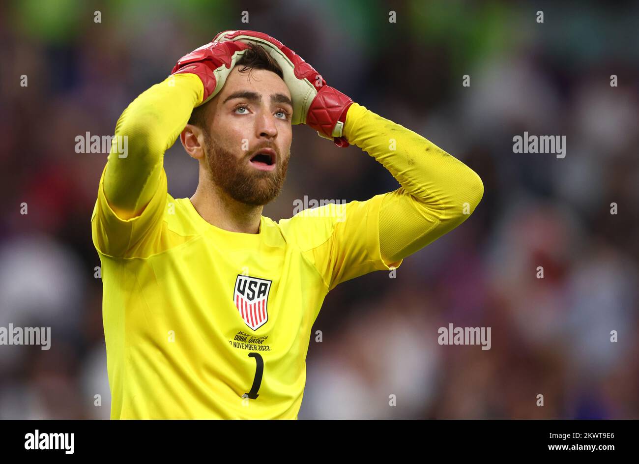 DOHA, QATAR - NOVEMBER 29: FIFA World Cup Qatar 2022 Group B match ...