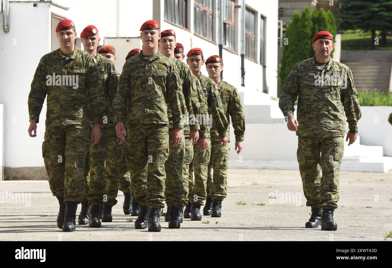 27.05.2015., Croatia, Knin - As part of the Armed Forces Day the King ...