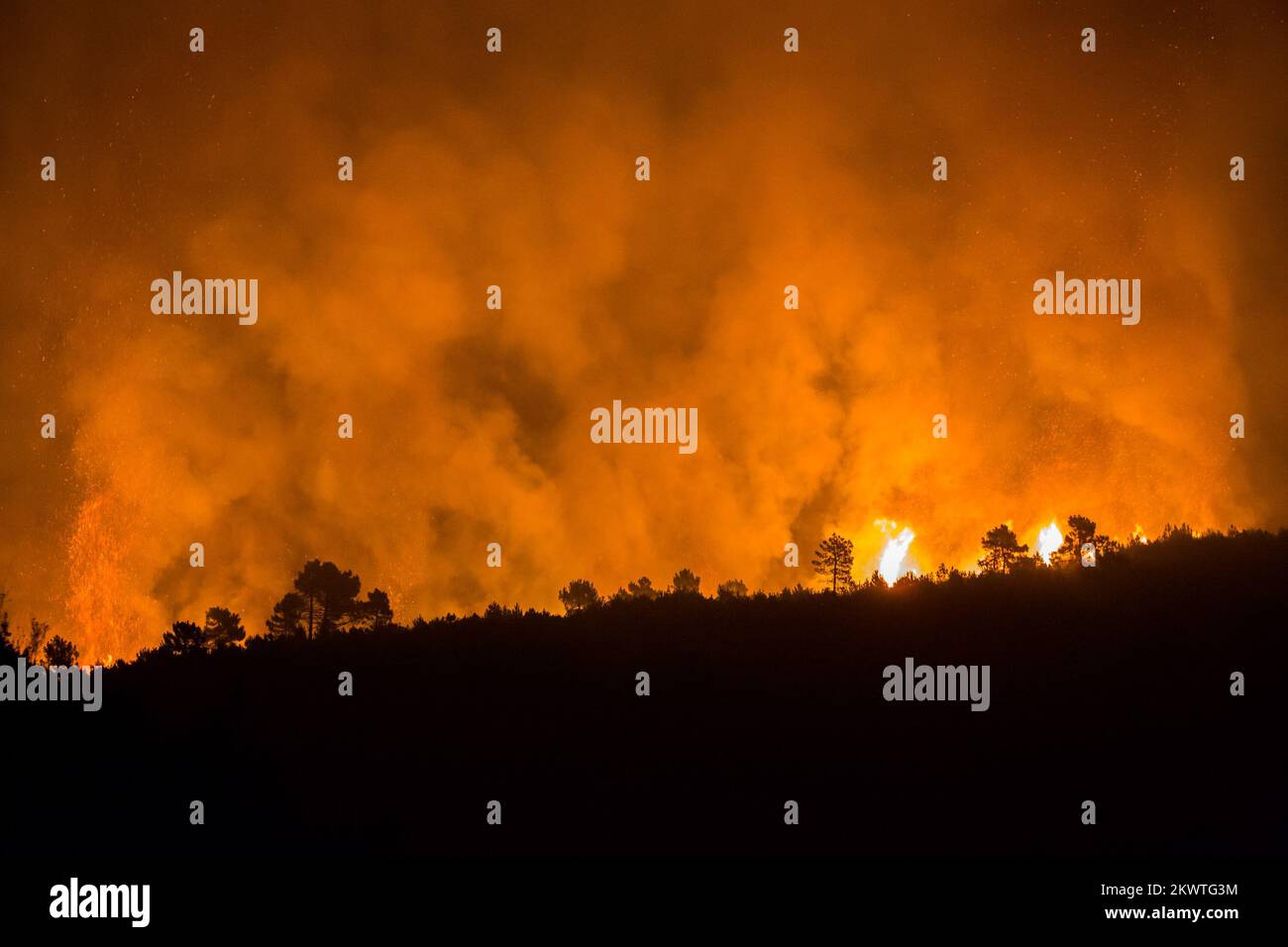 22.07.2015., Croatia, Peljesac - On the Peljesac peninsula fires lasts ...