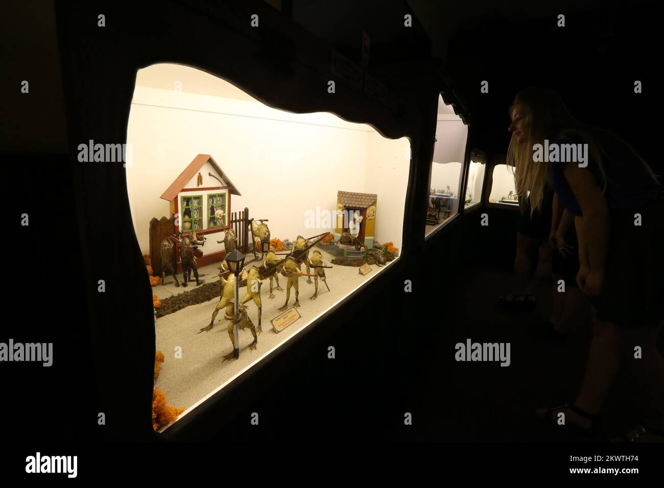 18.07.2015., Split, Croatia - Froggyland, a world famous stuffed frog ...