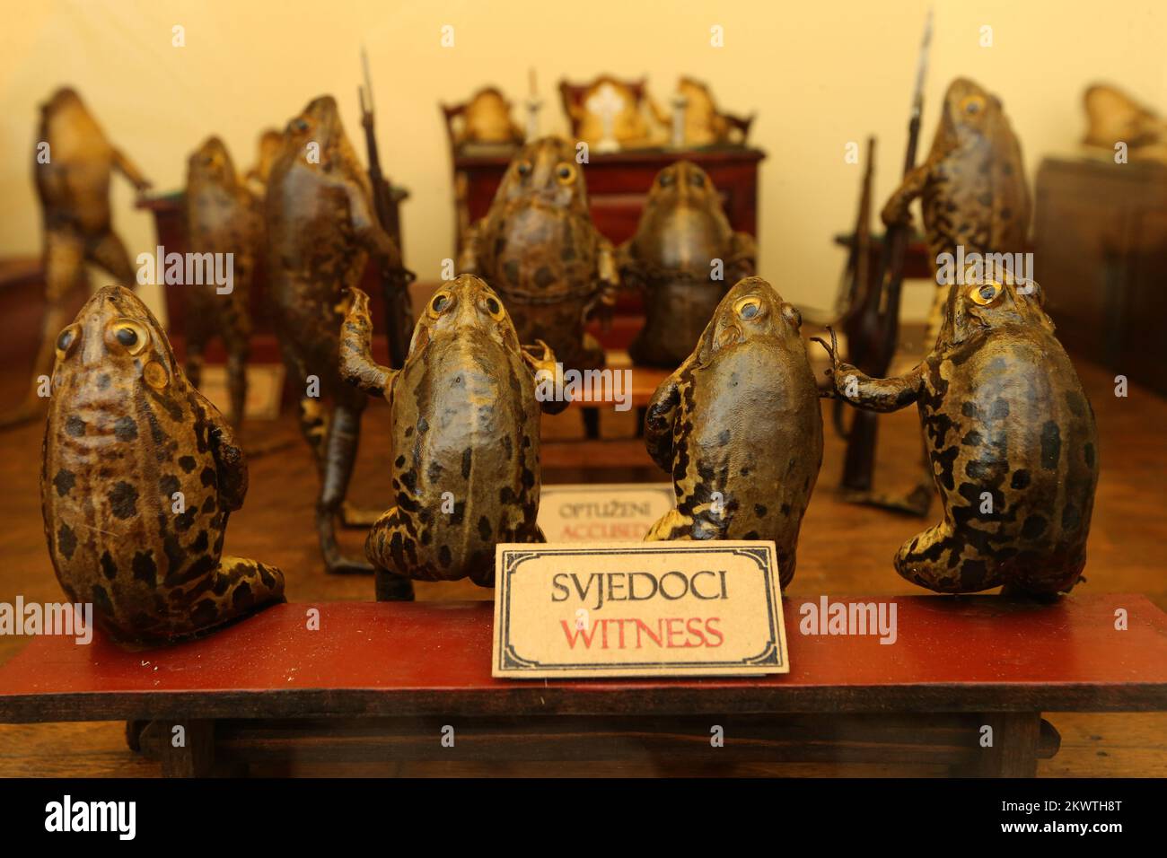 18.07.2015., Split, Croatia - Froggyland, a world famous stuffed frog ...