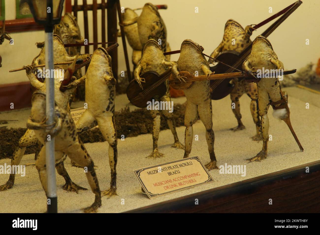 18.07.2015., Split, Croatia - Froggyland, a world famous stuffed frog ...