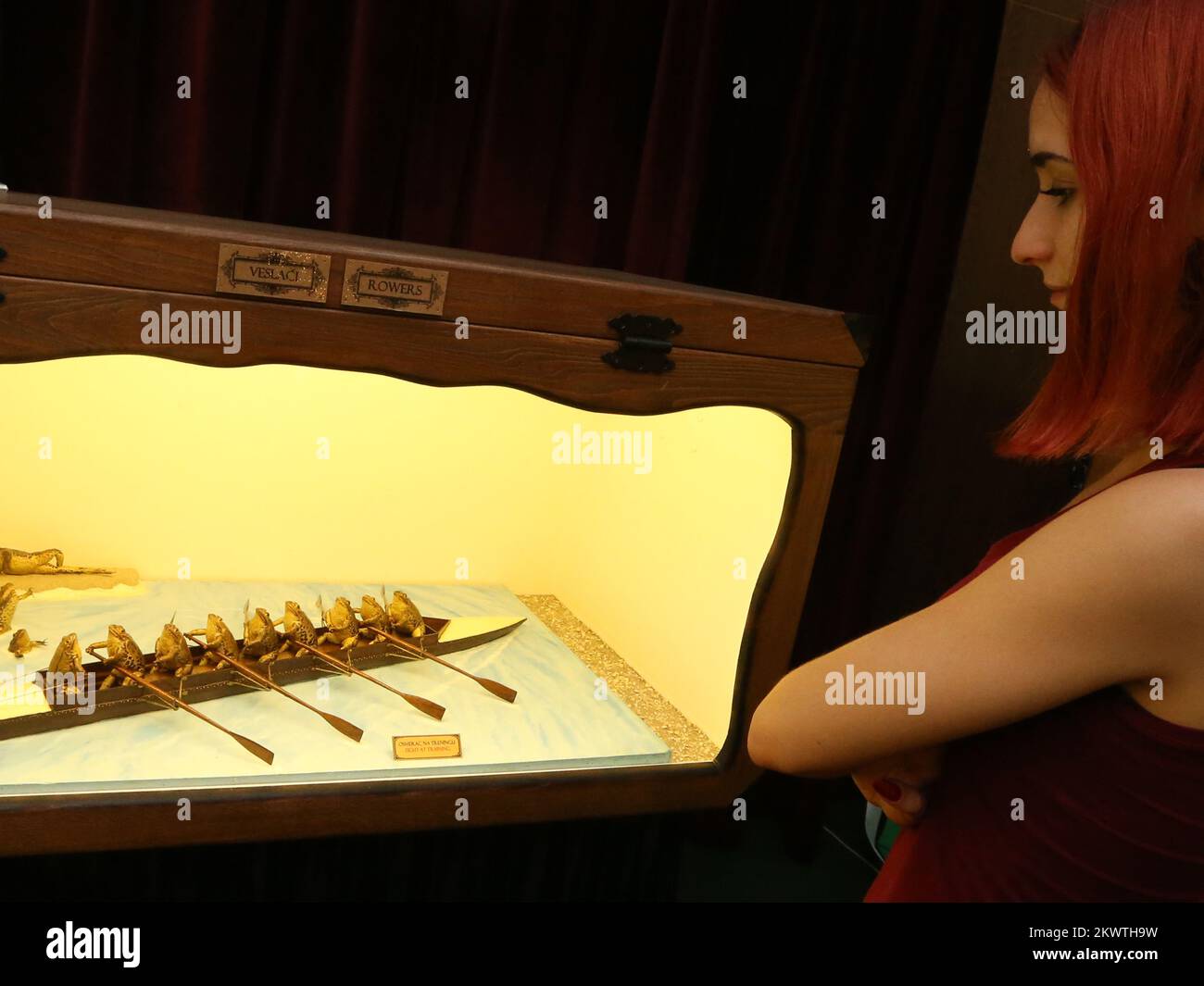 18.07.2015., Split, Croatia - Froggyland, a world famous stuffed frog ...