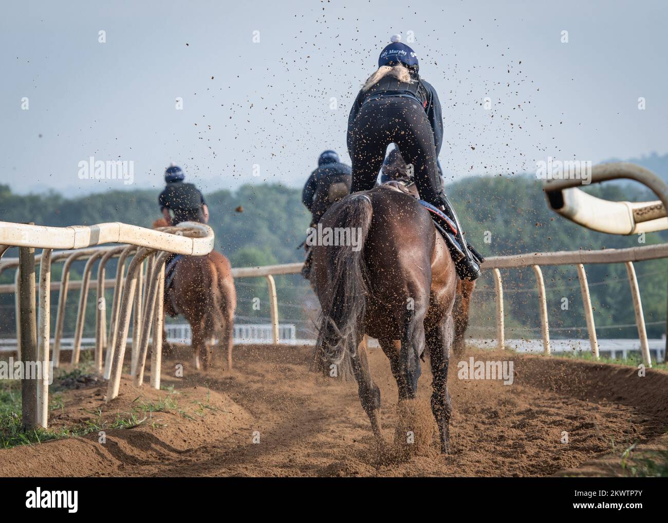 Racehorses training in deep sand Stock Photo - Alamy