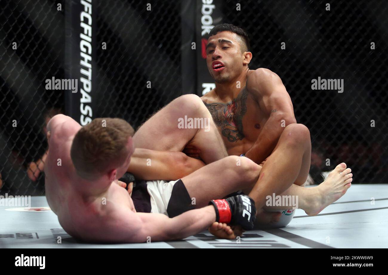 10.04.2016., Arena Zagreb, Zagreb - UFC Fight Night 86, introductory ...