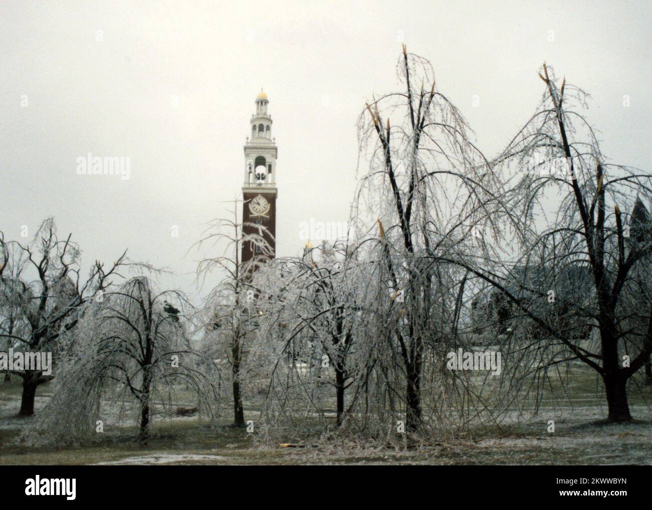 Winter ice storm 1998 hi-res stock photography and images - Alamy