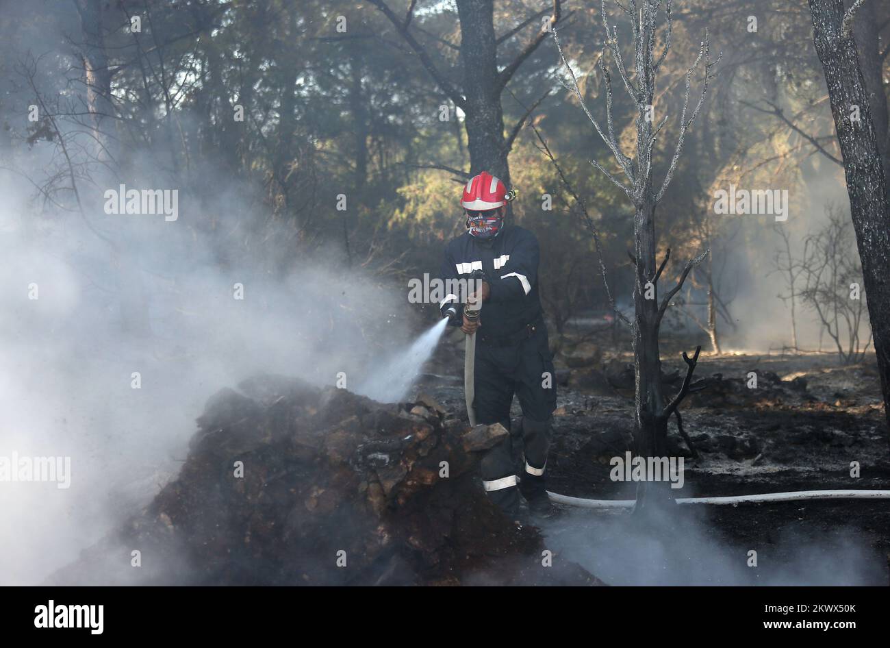 25.08.2016., Mucici, Croatia - 88 firefighters held fire under control ...